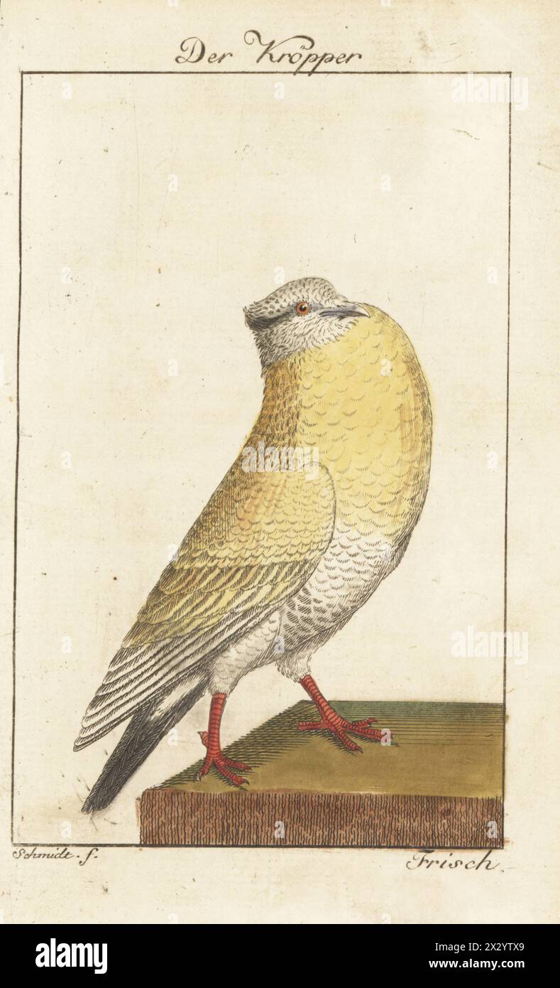 Der kropper hi-res stock photography and images - Alamy