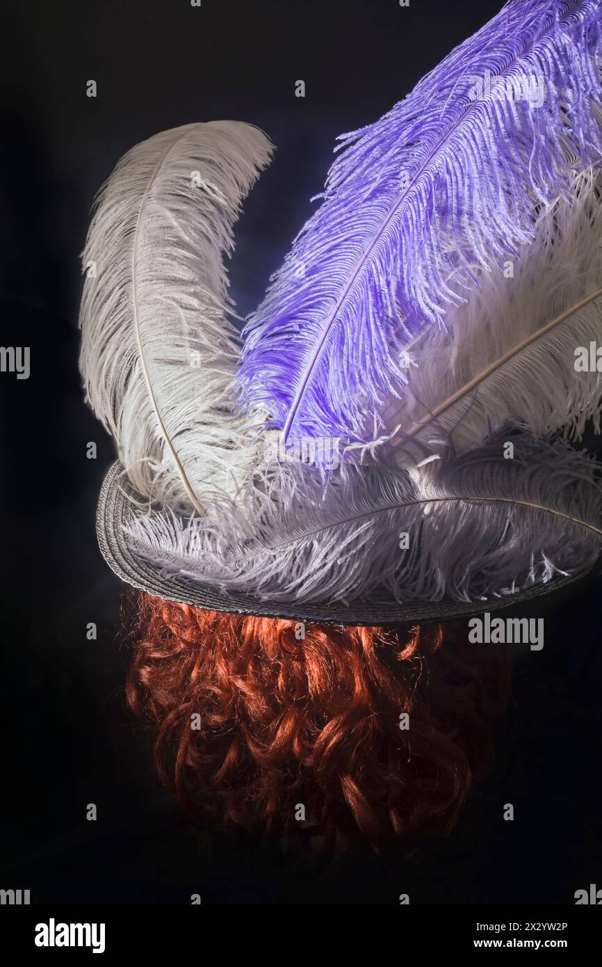 Feather plumes in a hat Stock Photo - Alamy
