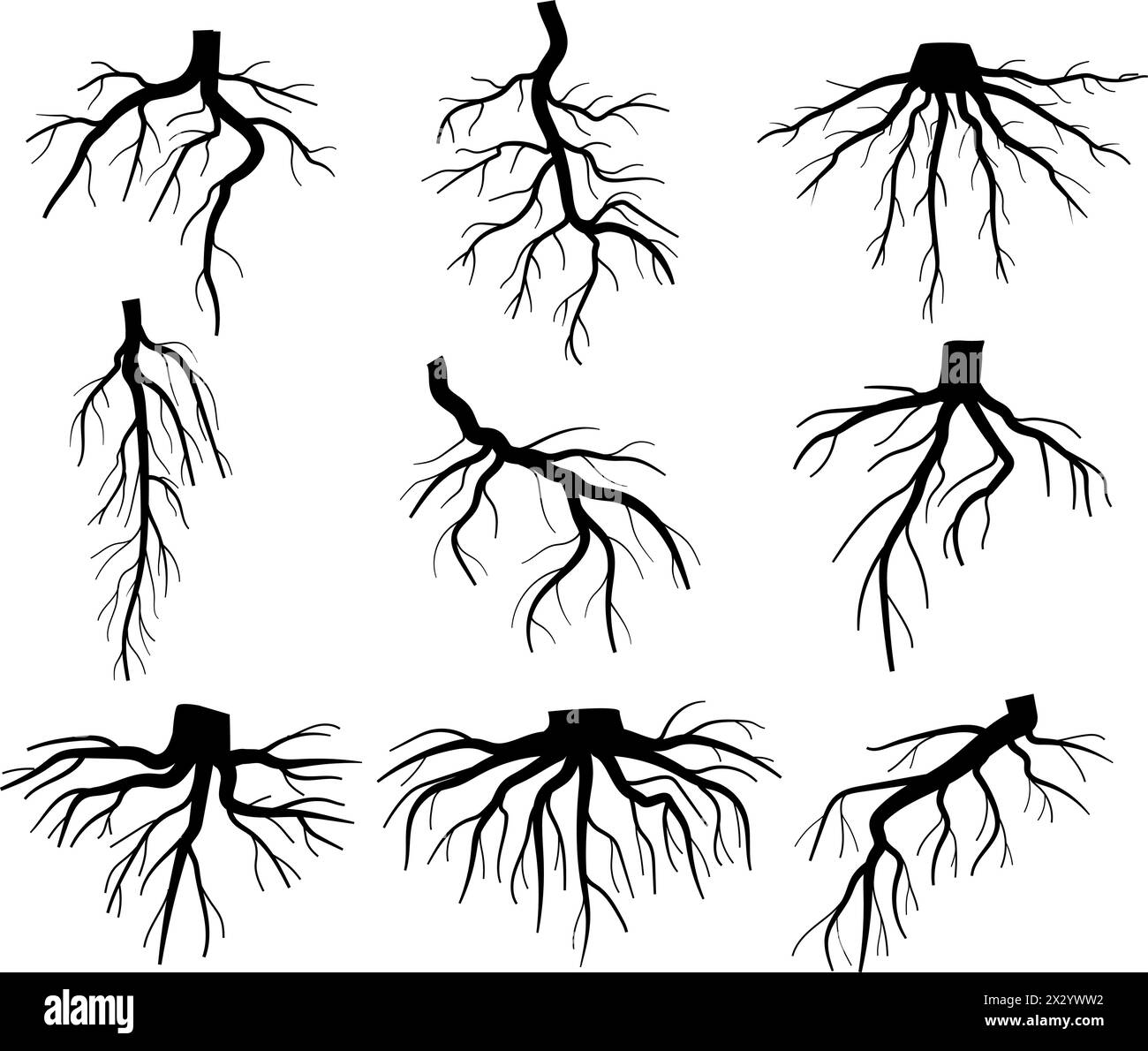 Tree Root Set Cartoon Vector Illustration Stock Vector Image And Art Alamy