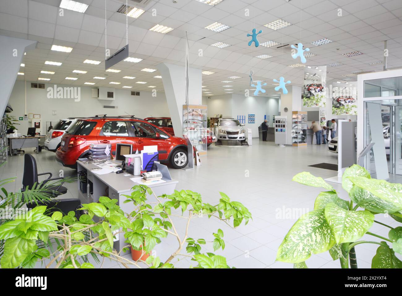 New shine cars stand in big office of shop selling cars near tables ...