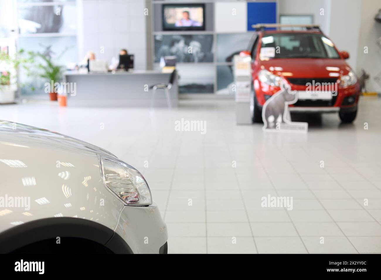Headlight of new white car staning in office of shop selling cars Stock ...