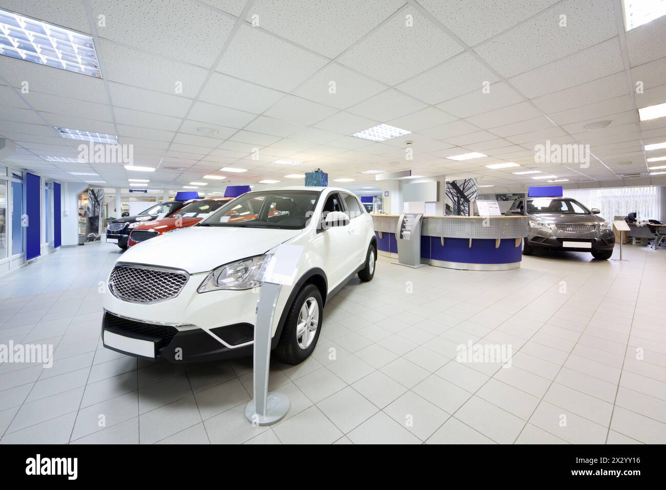New shining beautiful cars stand near desk reception in car shop Stock ...