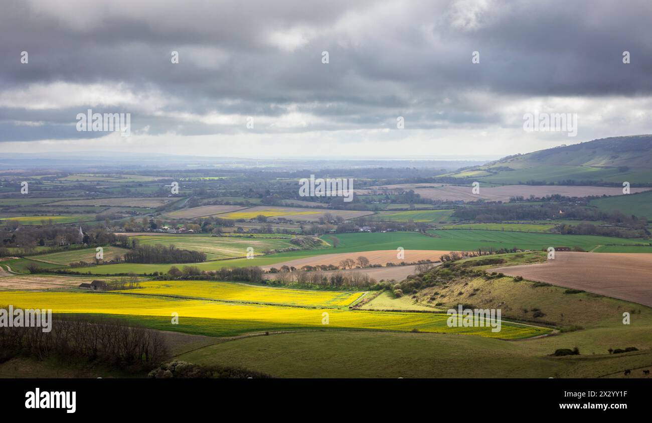View of the east Sussex countryside and springtime rapeseed fields from ...