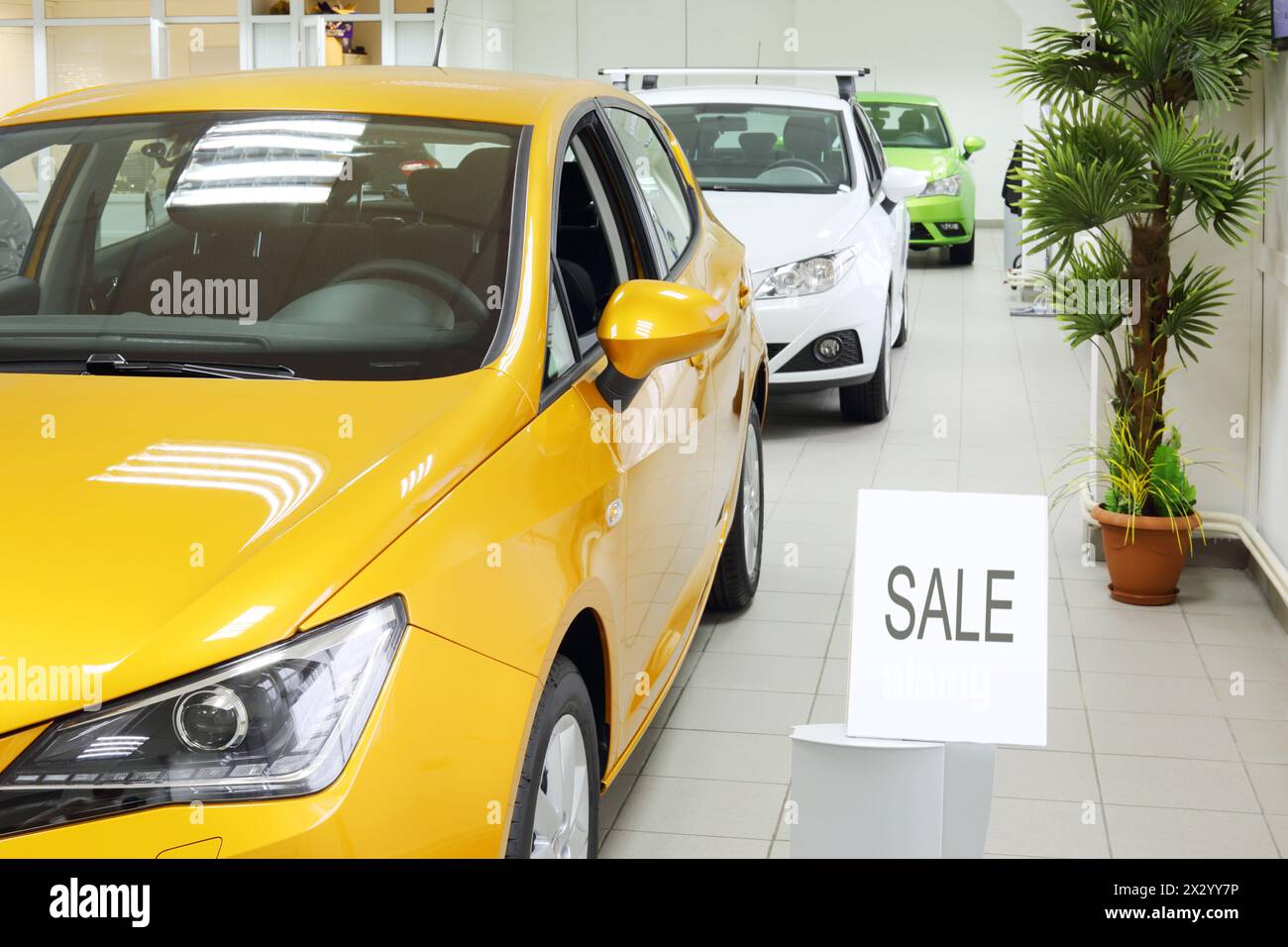 New yellow, white and green shining cars stand near palm tree in pot in ...