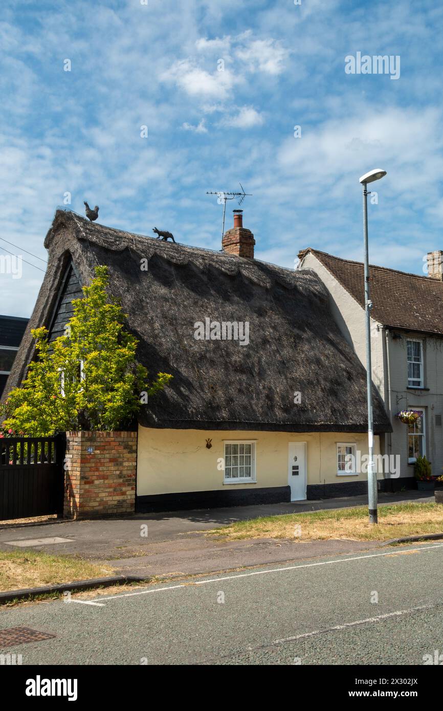 Animal finials on a thatched roof, a cat chasing a hen, and a ...