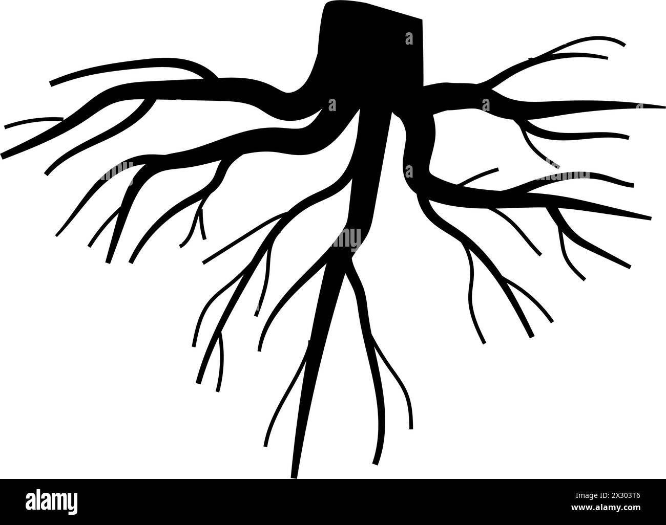 absorption tree root cartoon vector illustration Stock Vector Image ...