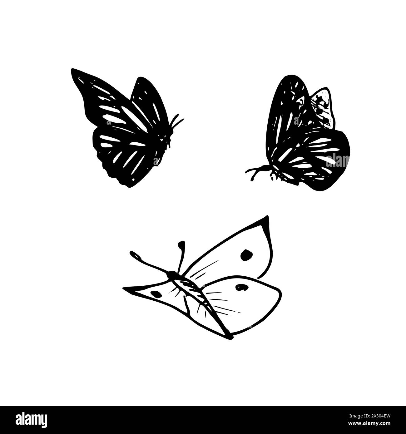 Butterfly set vector illustration flying. Curves black outline graphic ...
