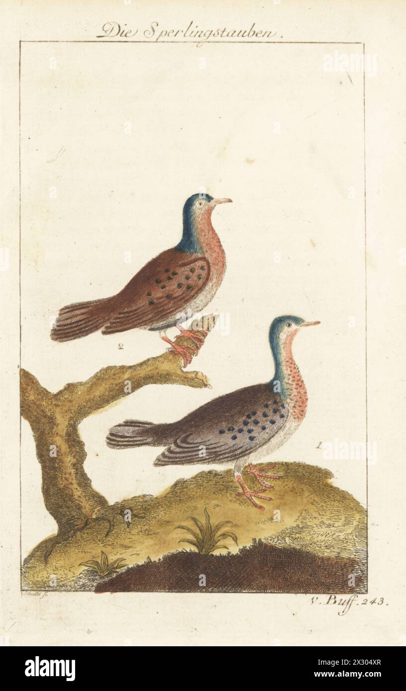 Cocotli hi-res stock photography and images - Alamy