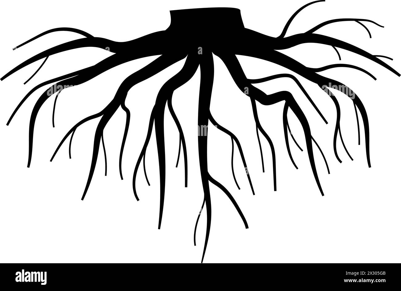 stability tree root cartoon vector illustration Stock Vector Image ...