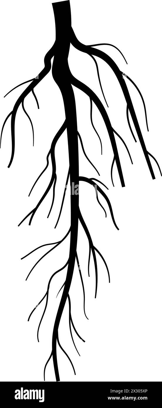 system tree root cartoon vector illustration Stock Vector Image & Art ...