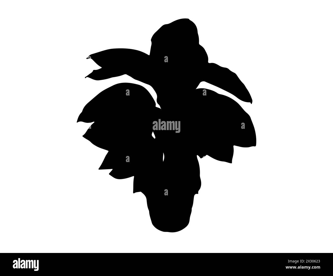 Tropical plant silhouette vector art Stock Vector Image & Art - Alamy Tropical plant silhouette vector art Stock Vector Image & Art - Alamy