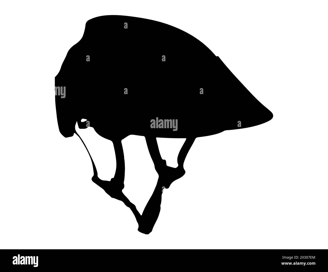 Bicycle helmet silhouette vector art Stock Vector Image & Art - Alamy Bicycle helmet silhouette vector art Stock Vector Image & Art - Alamy