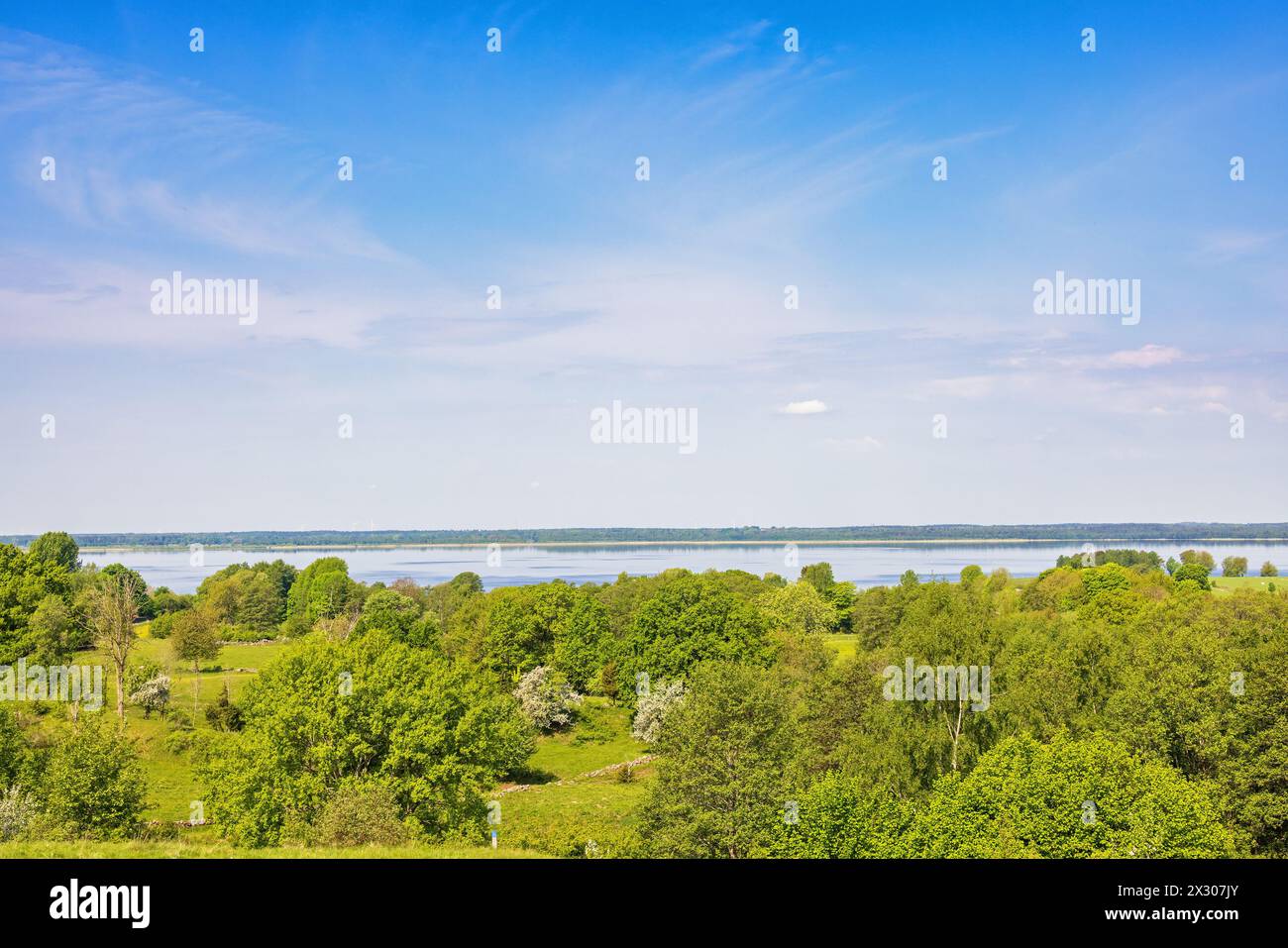Top view treetops in green hi-res stock photography and images - Alamy