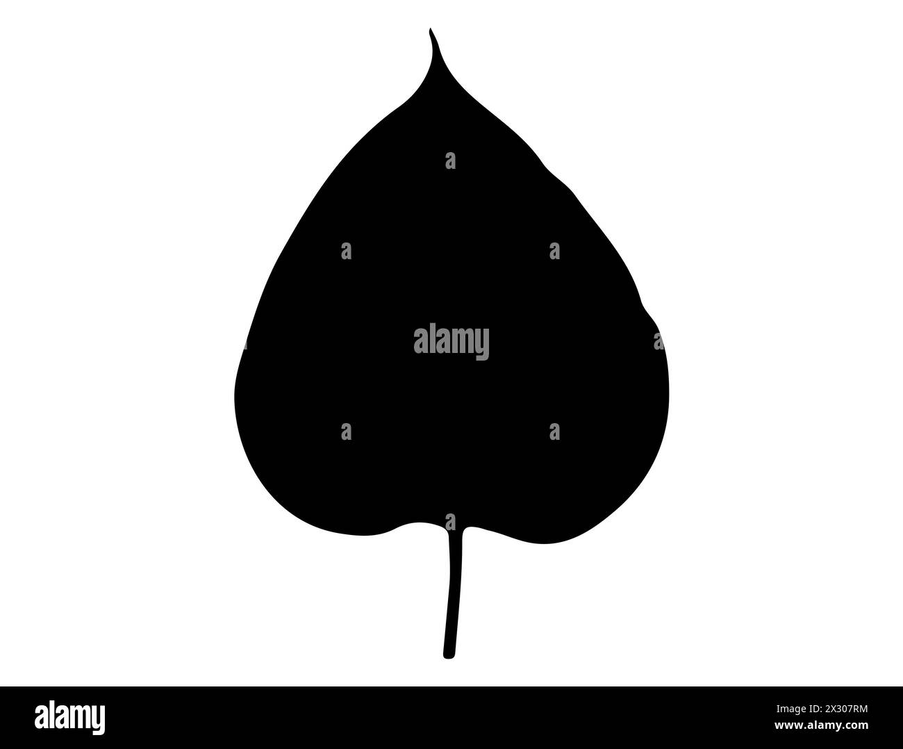 Bodhi leaf Stock Vector Images - Alamy