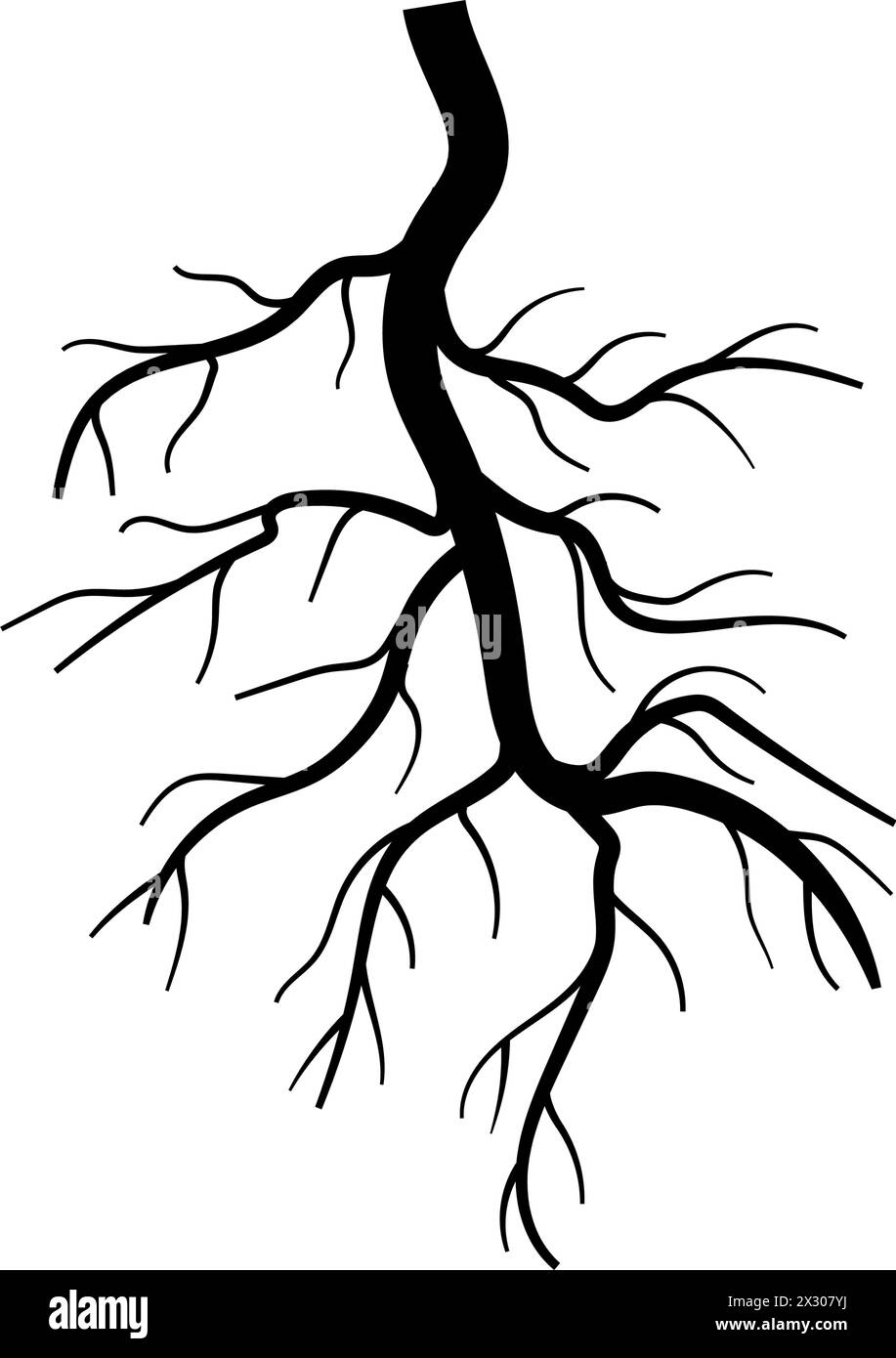 network tree root cartoon. structure foundation, soil water, oxygen ...
