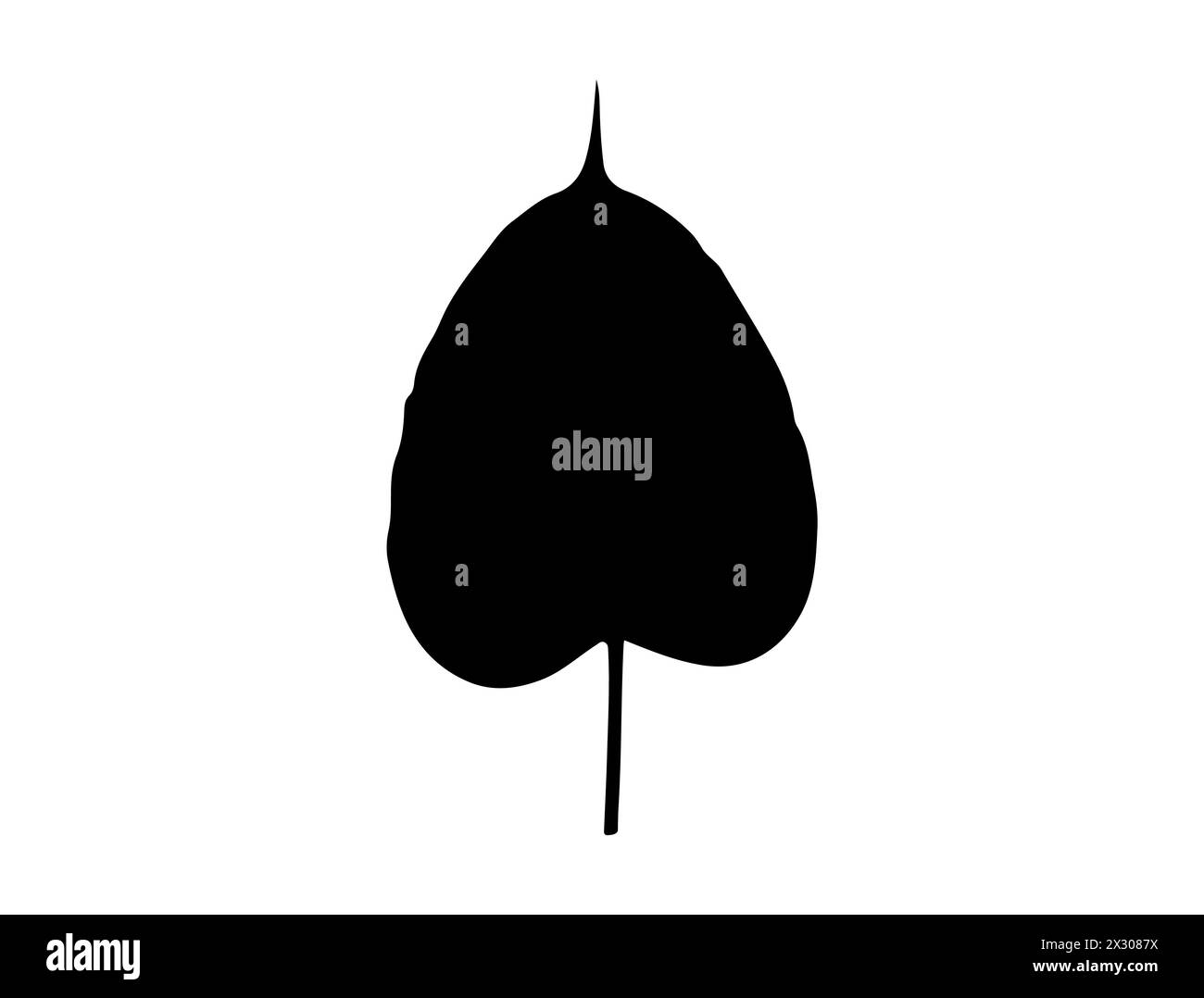 Bodhi leaf silhouette vector art Stock Vector Image & Art - Alamy