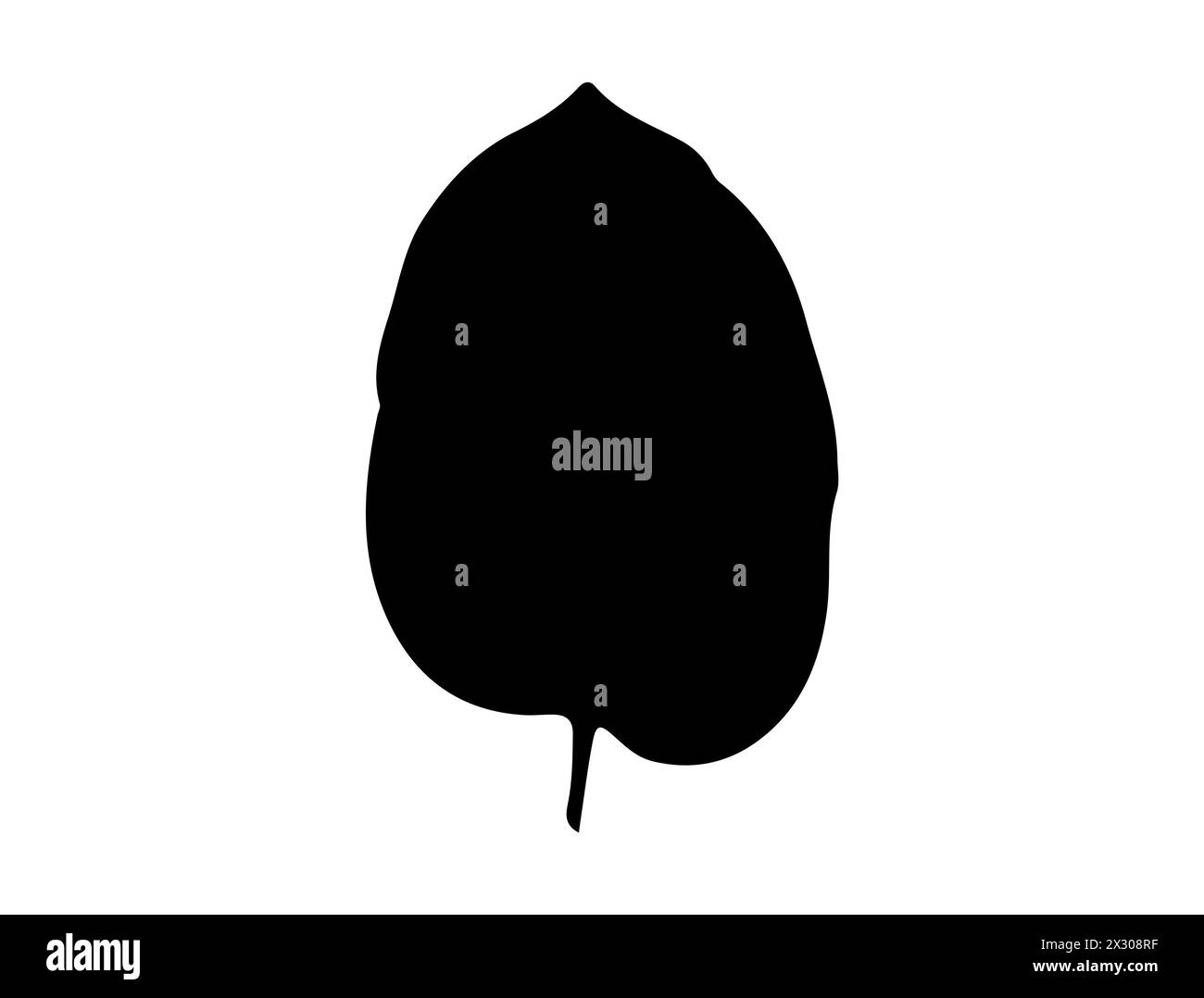 Tropical leaf silhouette vector art Stock Vector Image & Art - Alamy