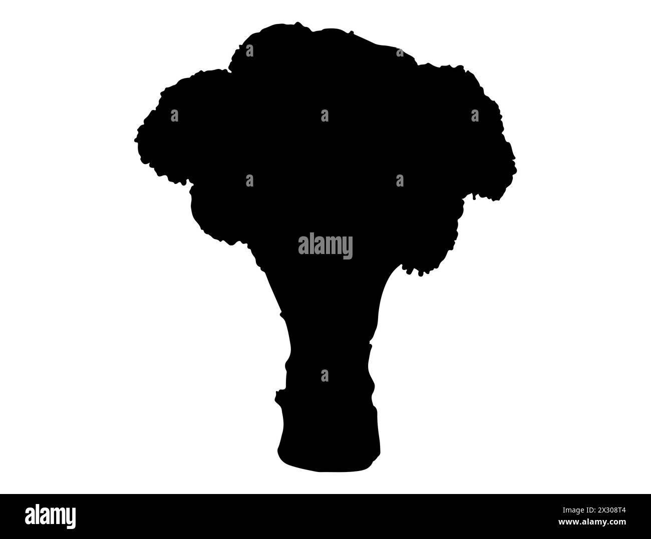 Broccoli silhouette vector art Stock Vector Image & Art - Alamy