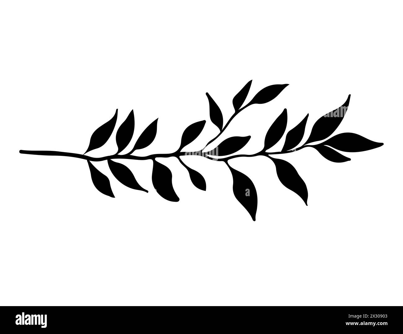 Fall leaves branch isolated Black and White Stock Photos & Images - Alamy