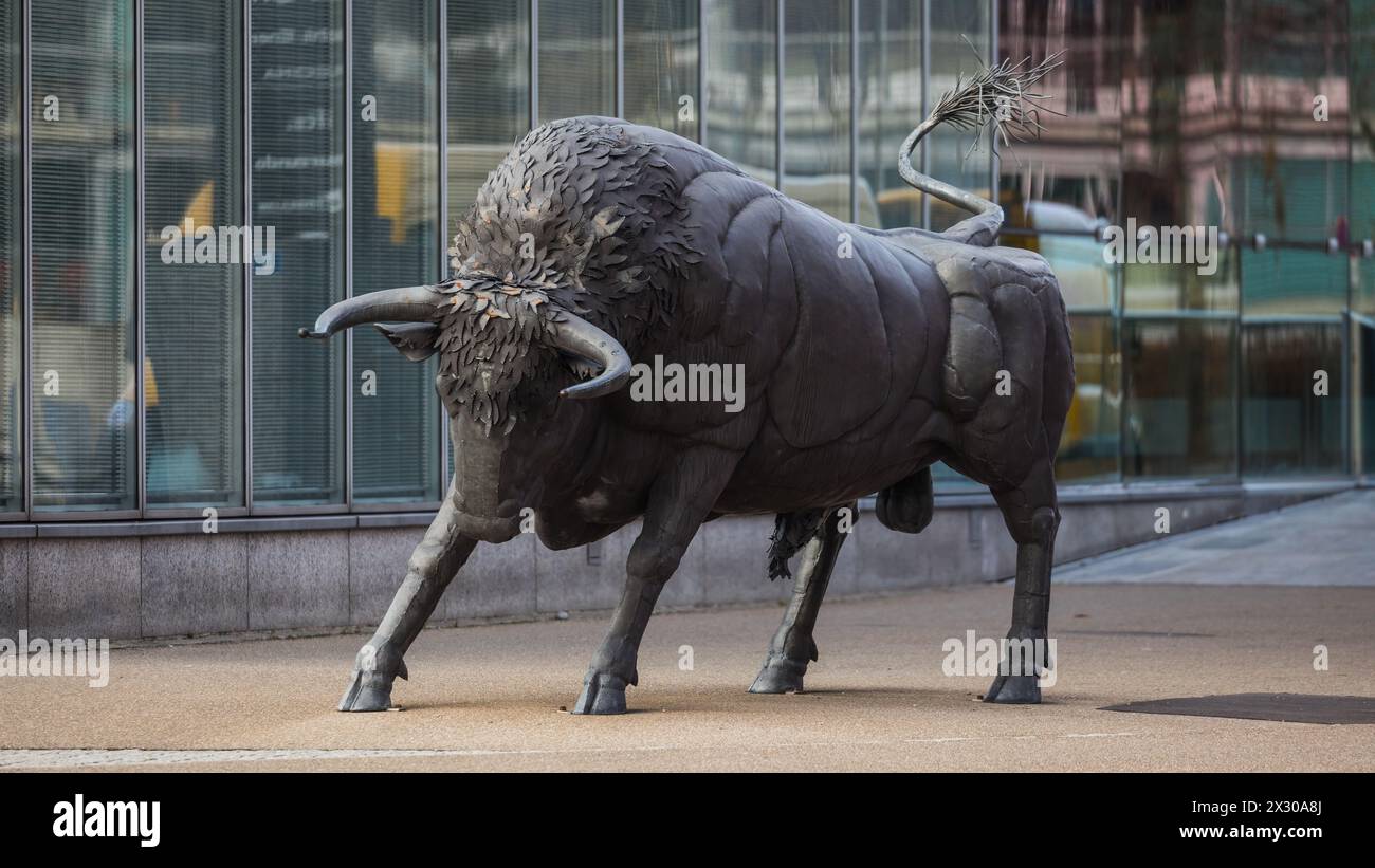 Bulle mannliches tier hi-res stock photography and images - Alamy