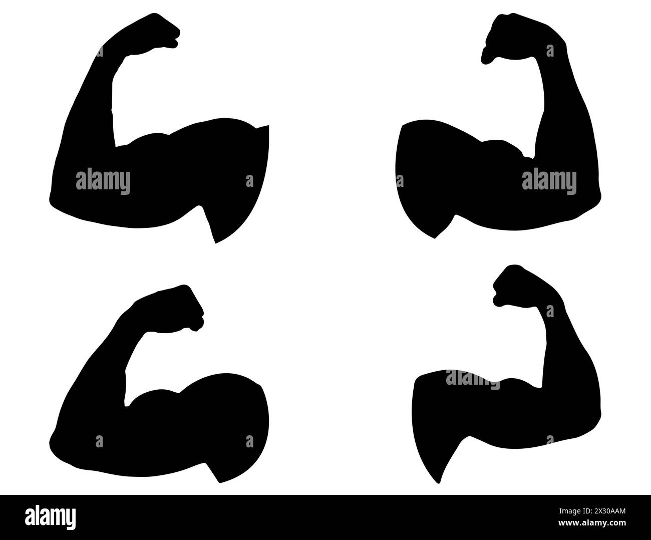 Muscle program Cut Out Stock Images & Pictures - Alamy