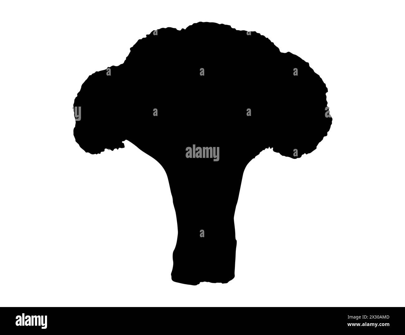 Broccoli silhouette vector art Stock Vector Image & Art - Alamy Broccoli silhouette vector art Stock Vector Image & Art - Alamy