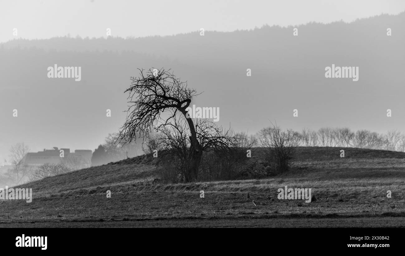 Oberglatt, Schweiz - 25. Januar 2022: Die untergehende Sonne und der ...