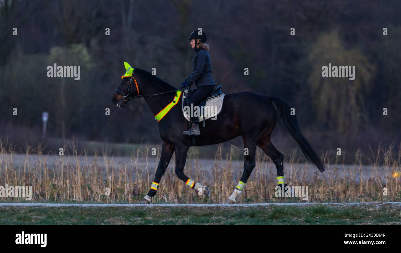 Oberglatt, Schweiz - 14. März 2022: Eine Frau Reitet mit ihrem Pferd ...