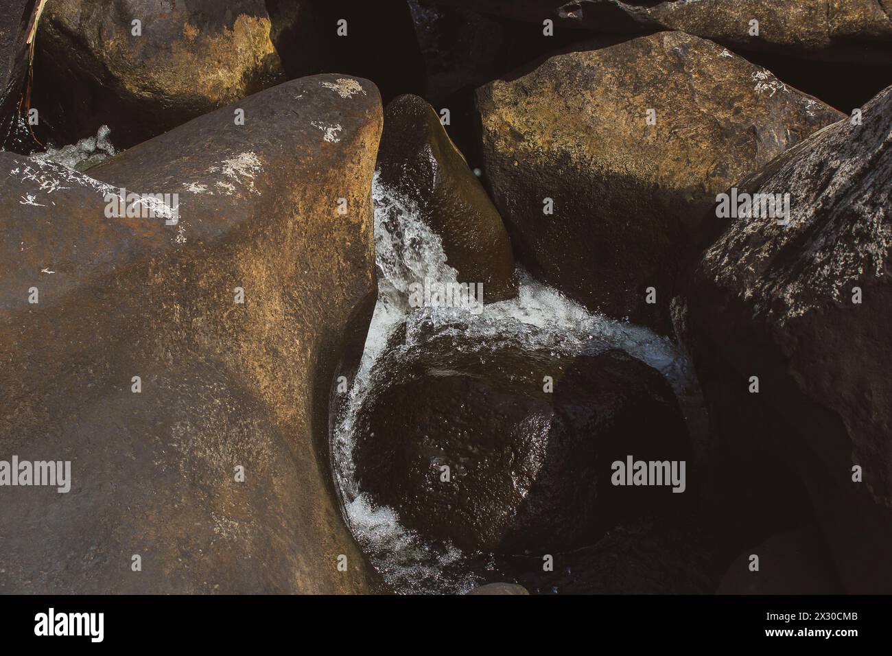 Stone and water in forest Stock Photo - Alamy