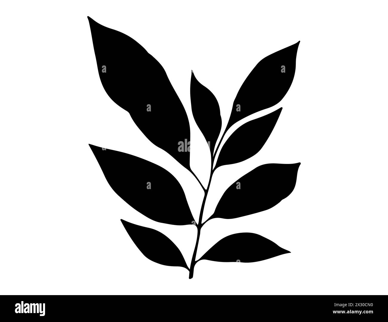 Branch with leaves silhouette vector art Stock Vector Image & Art - Alamy