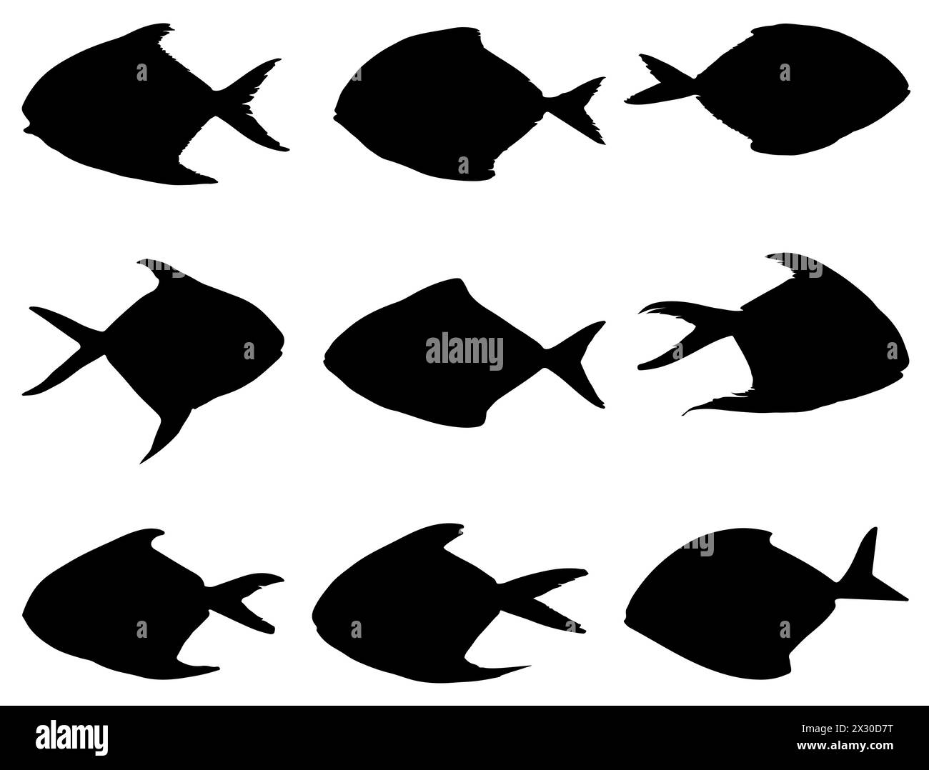 Pomfret outline Stock Vector Images - Alamy