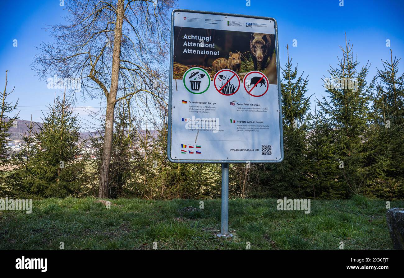 Europaische schweinepest hi-res stock photography and images - Alamy