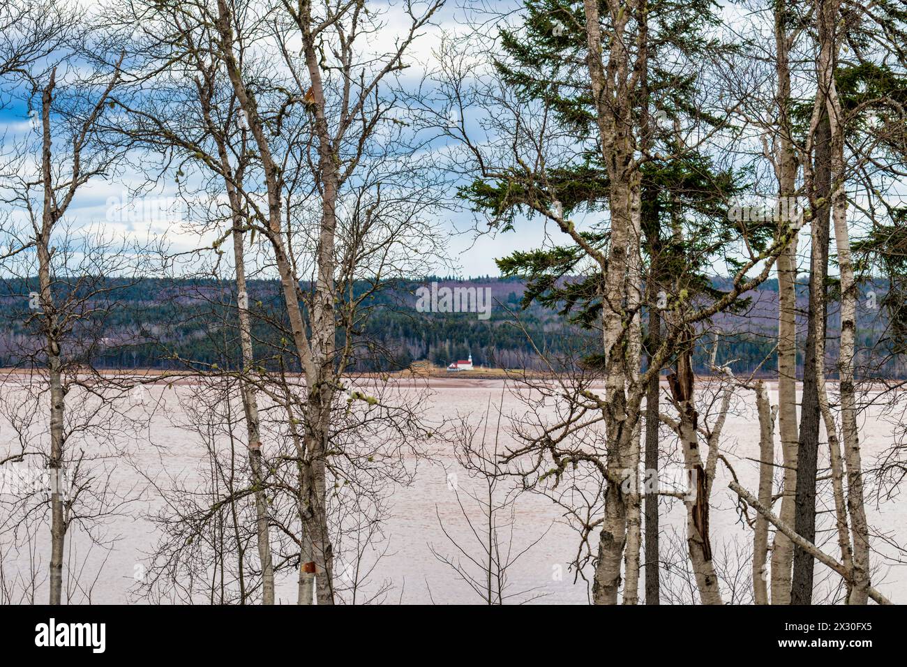 Petitcodiac river through trees hi-res stock photography and images - Alamy