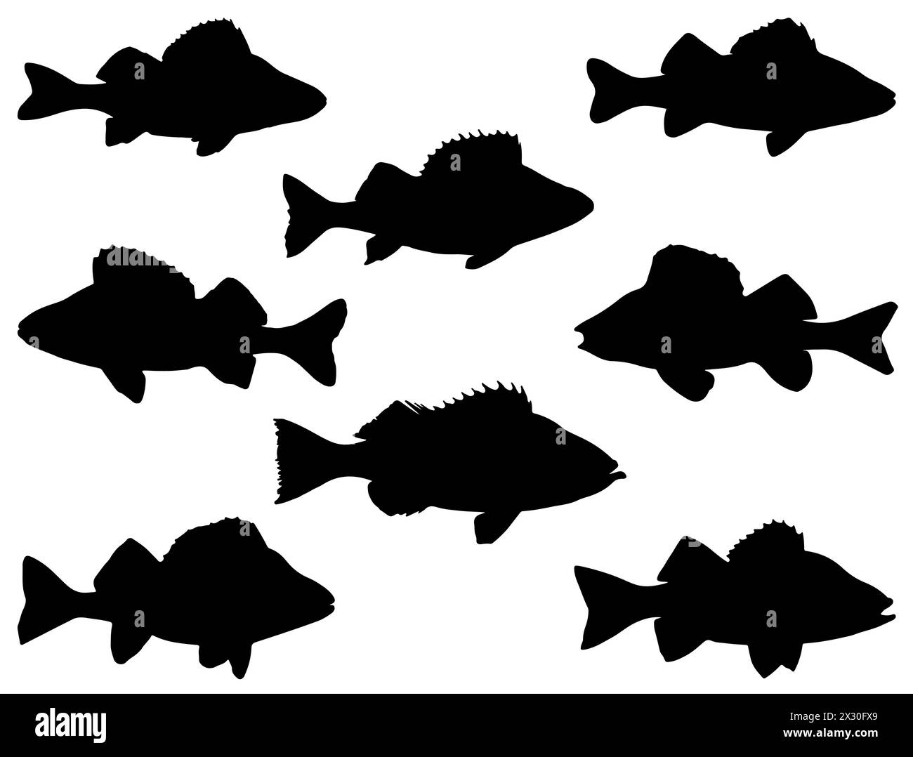 Perch fish silhouette vector art Stock Vector Image & Art - Alamy