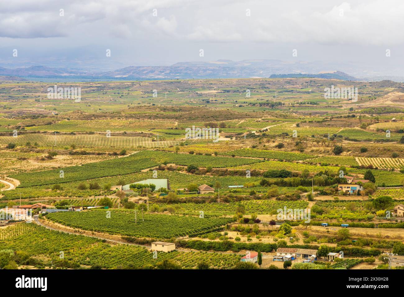 Aerial view of the vibrant green vineyards and fields surrounding the ...