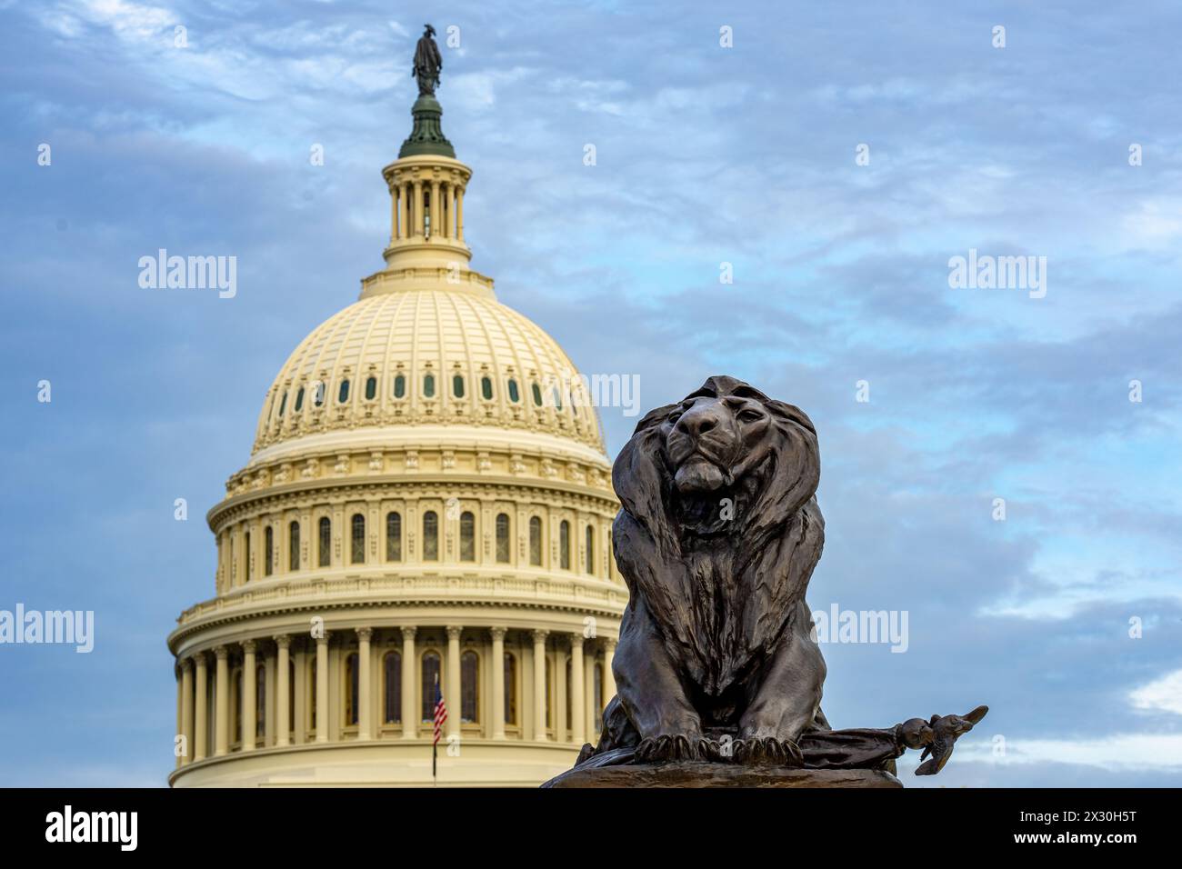 The US Capitol in Washington DC. Capitol Building. US National Capitol ...