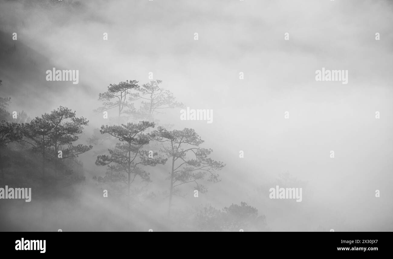 Landscape da lat city Black and White Stock Photos & Images - Alamy