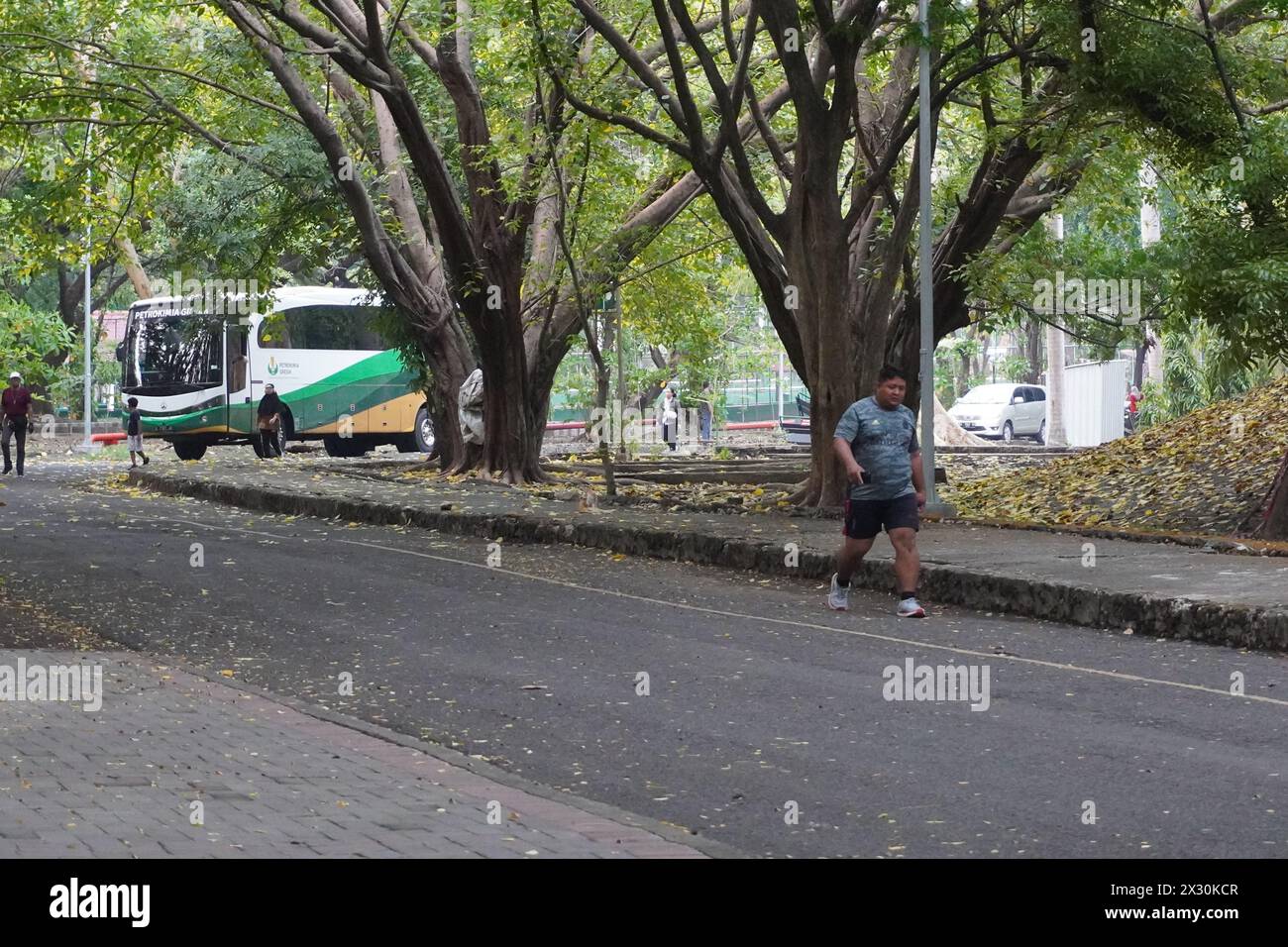 A man exercising in a shady and quiet place with a bus behind him Stock ...