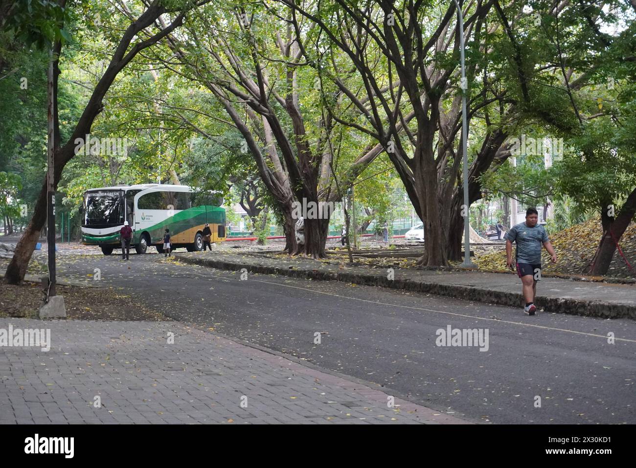 A man exercising in a shady and quiet place with a bus behind him Stock ...