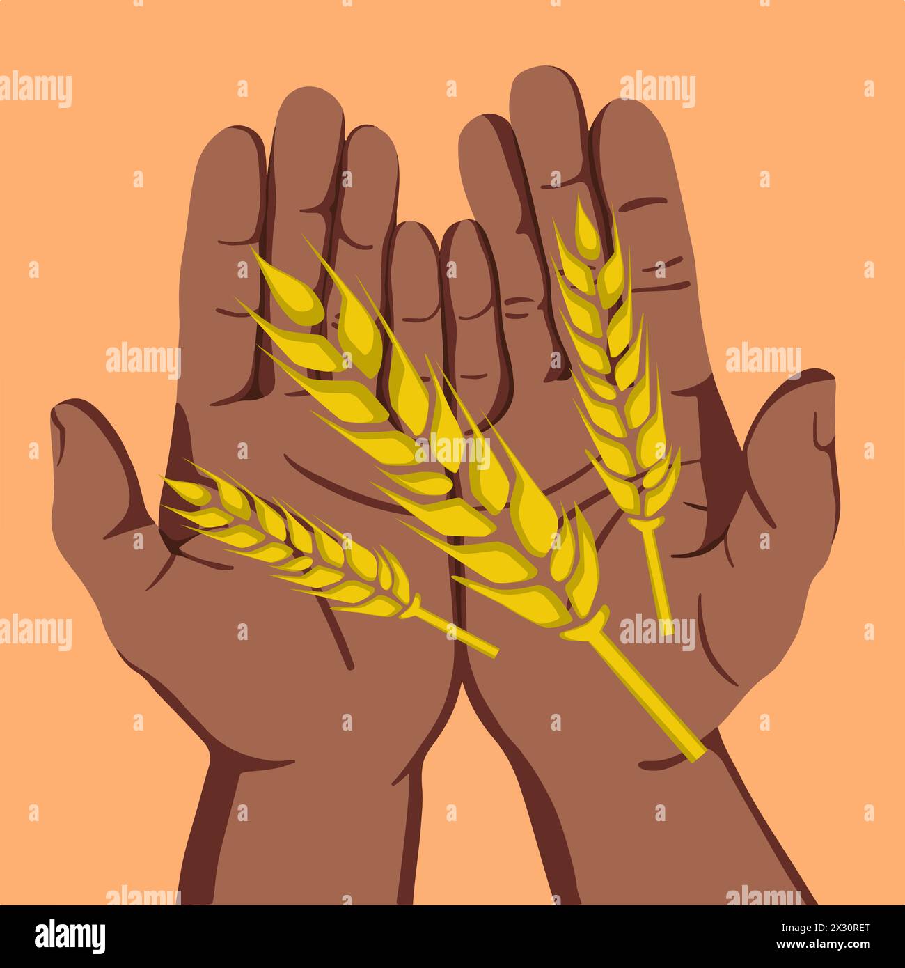 Vector illustration of human hands holding ears of wheat Stock Vector ...