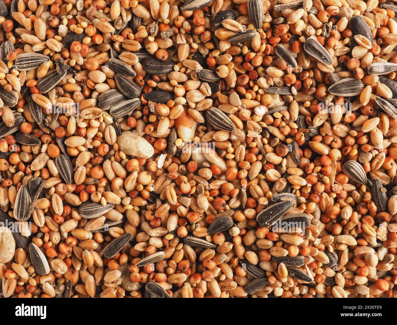 Bird food texture using hi-res stock photography and images - Alamy