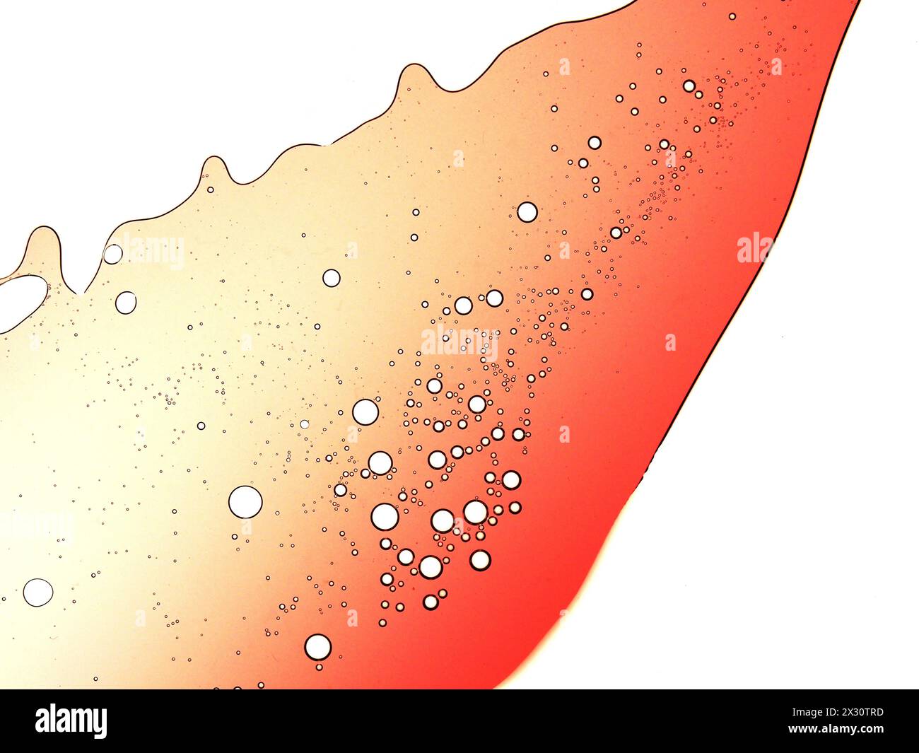 Abstract shapes of red liquid on a white background RECORD DATE NOT ...