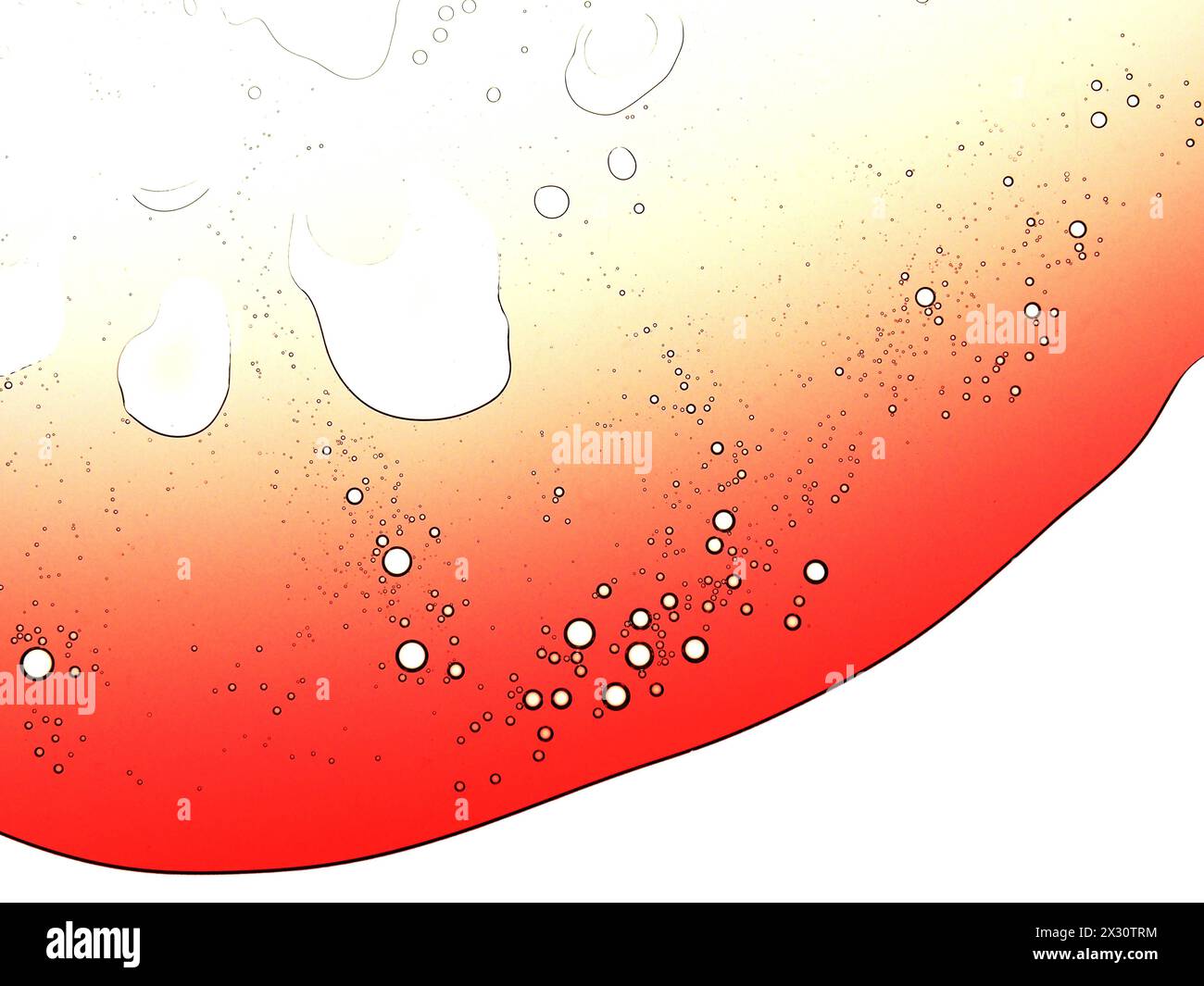 Abstract shapes of red liquid on a white background RECORD DATE NOT ...
