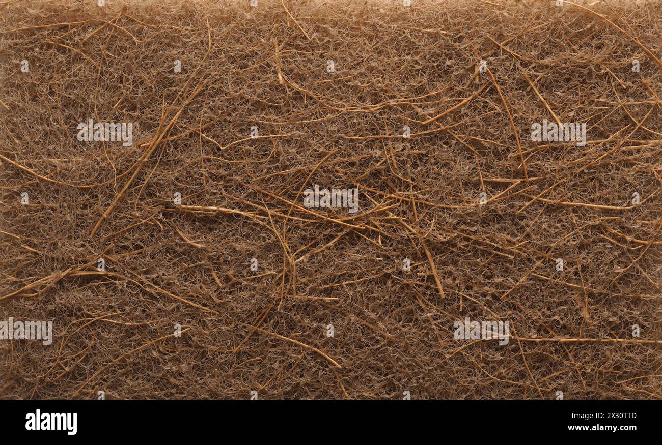 Texture of an eco friendly sponge, natural coconut fiber, zero waste ...