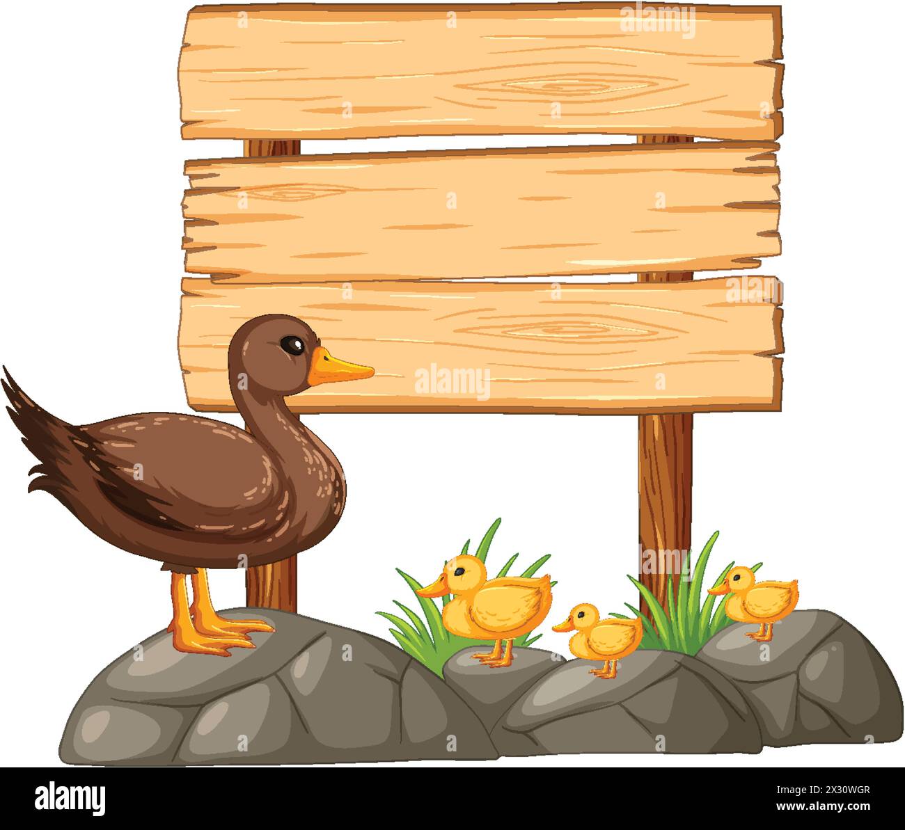 Cartoon ducks beside a blank wooden signboard Stock Vector Image & Art ...
