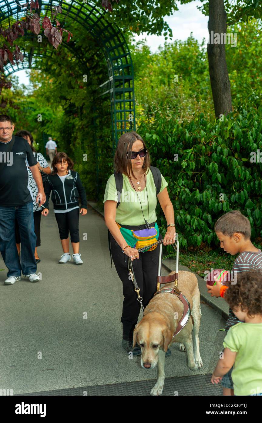 Paris, France - Blind Woman Walking with Seeing Eye Dog, in Promenade ...
