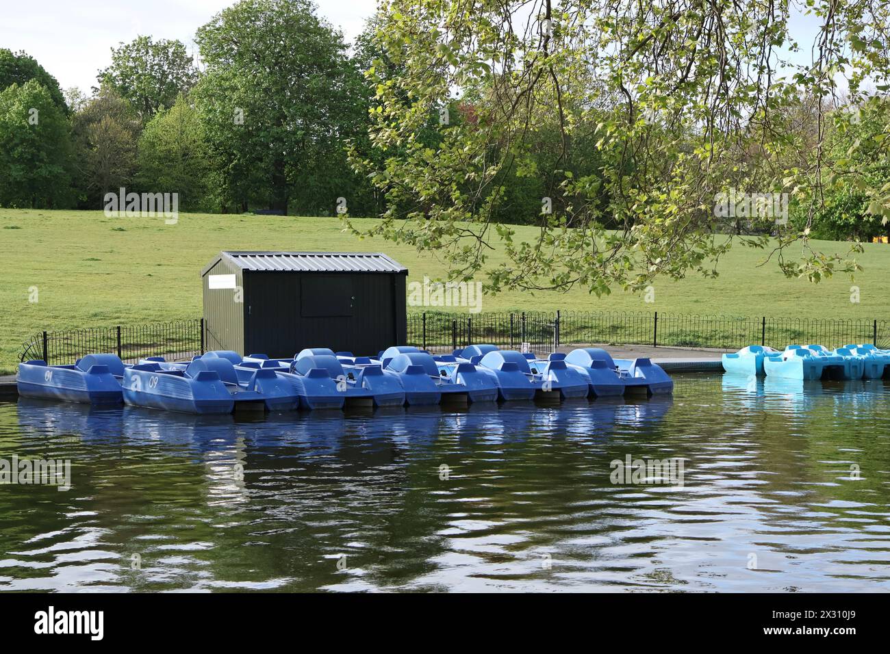 Boating lake in Greenwich Royal Park with moored paddle boats, London ...