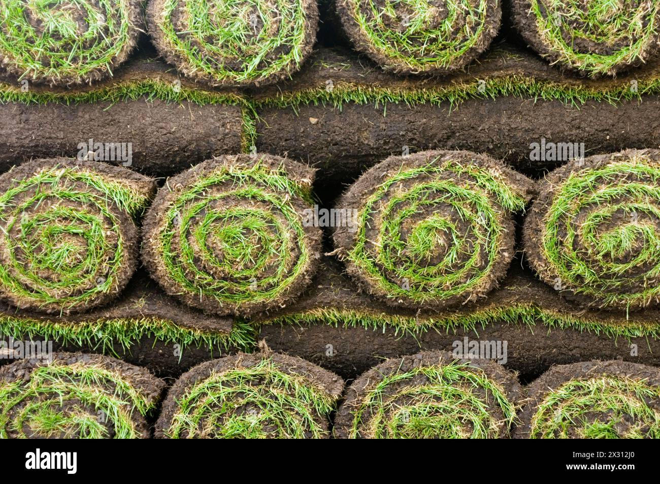 Layered garden hi-res stock photography and images - Alamy