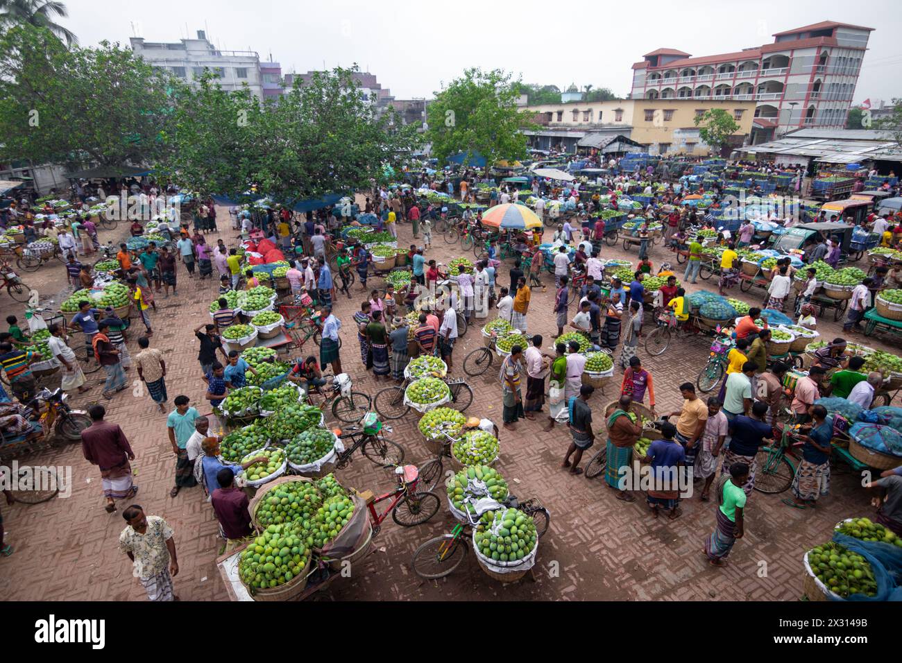 Chapainawabganj, Rajshahi, Bangladesh. 24th Apr, 2024. Thousands of ...