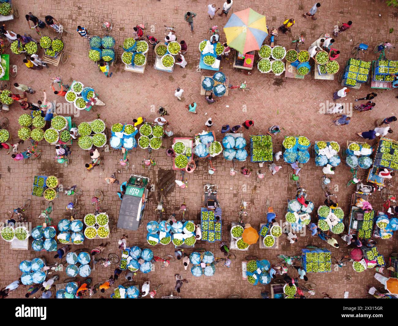 Chapainawabganj, Rajshahi, Bangladesh. 24th Apr, 2024. Thousands of ...